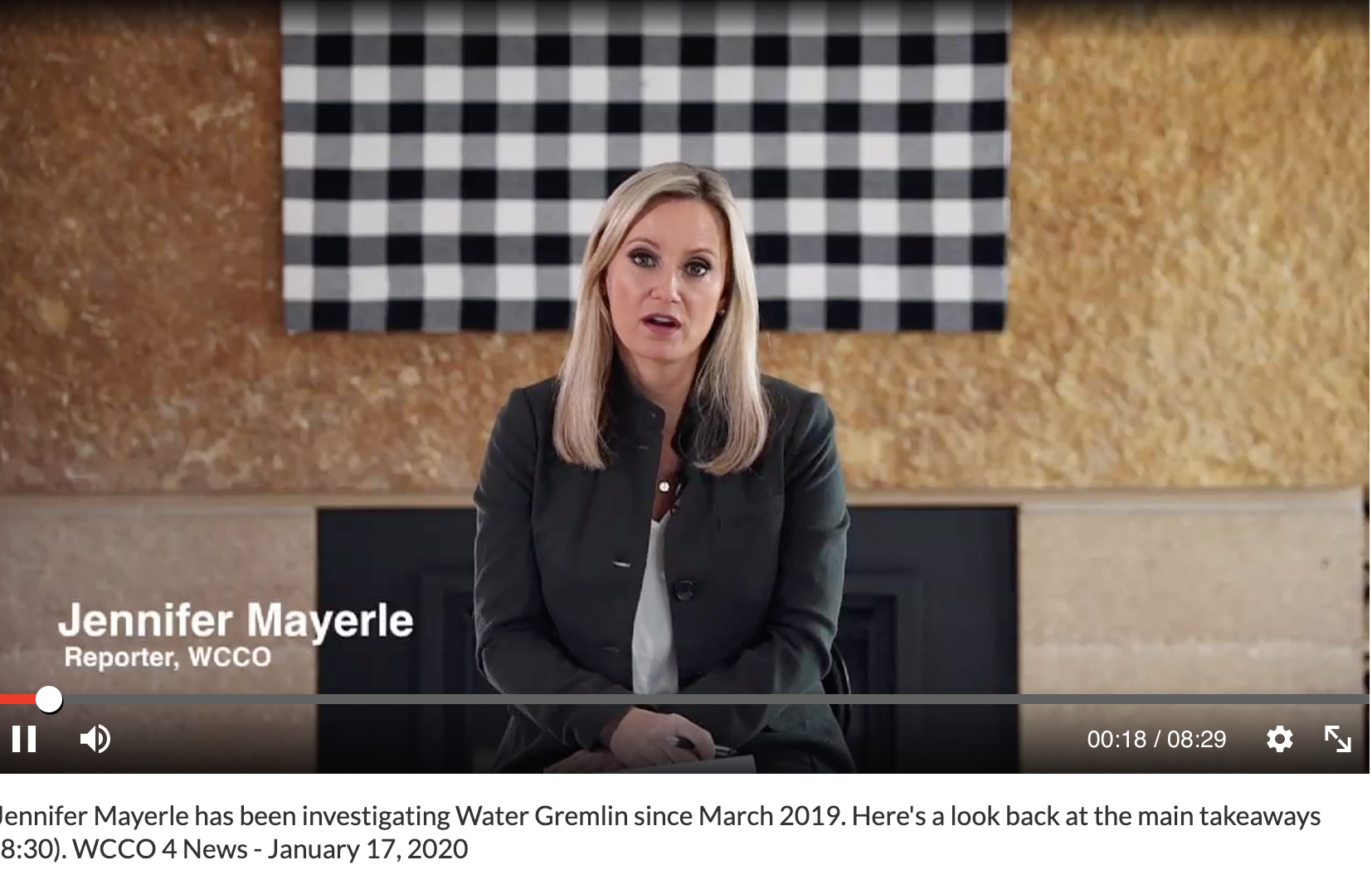 White Bear Area Neighborhood Concerned Citizens Group